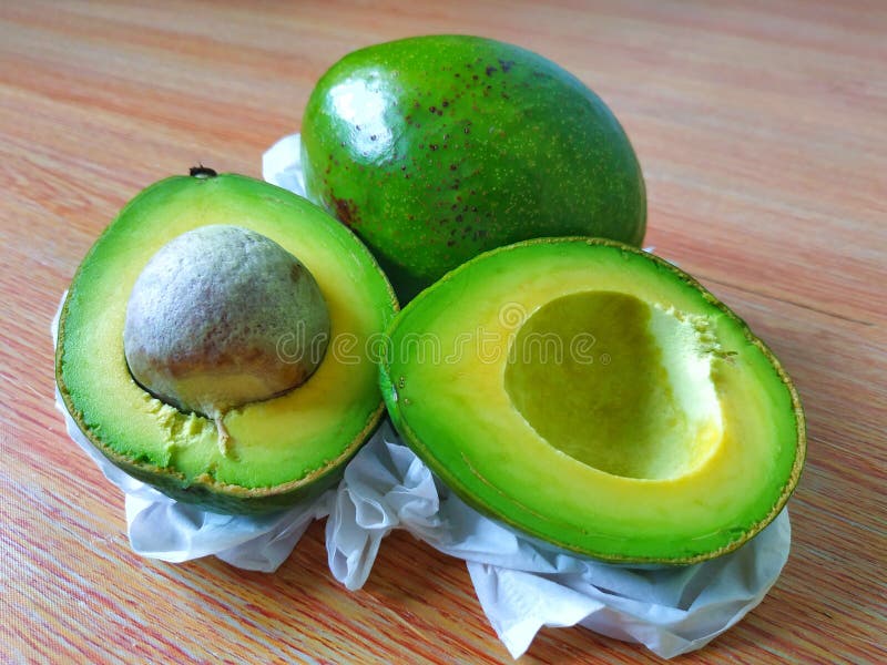 King of avocado stock image. Image of king, fruit, green - 222462647