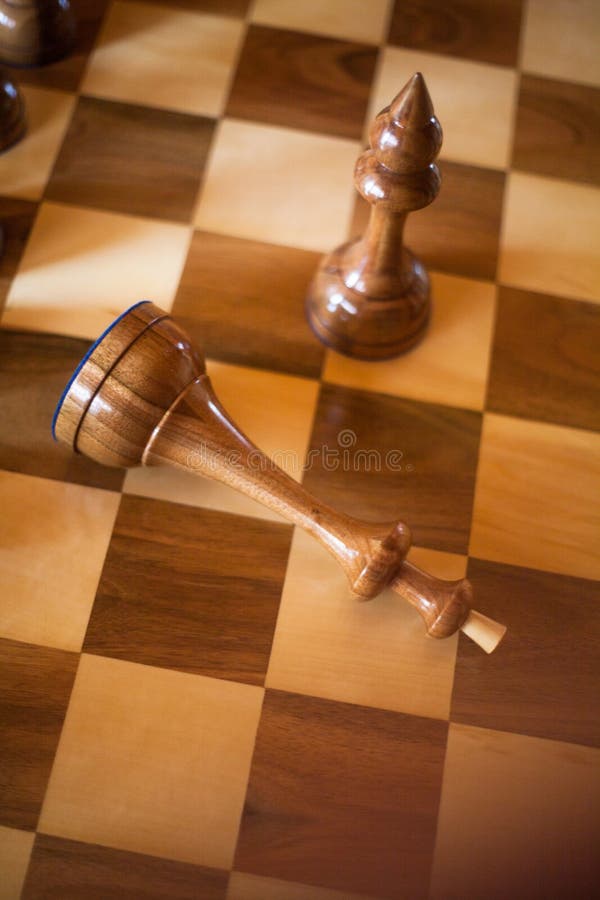King and Bishop. Chess Pieces on the Chessboard Stock Photo - Image of ...