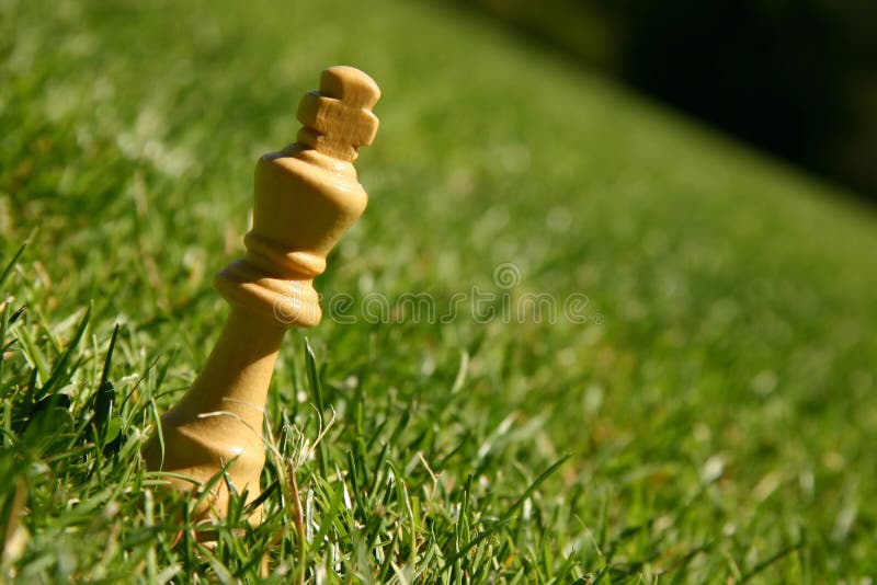 22+ Chess grass Free Stock Photos - StockFreeImages