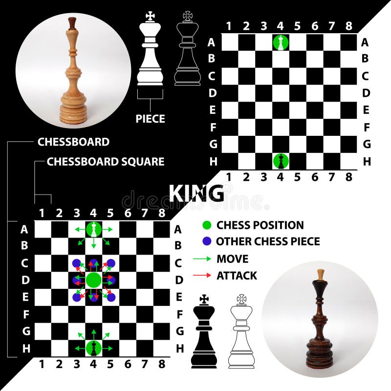 Chess Pieces Moves