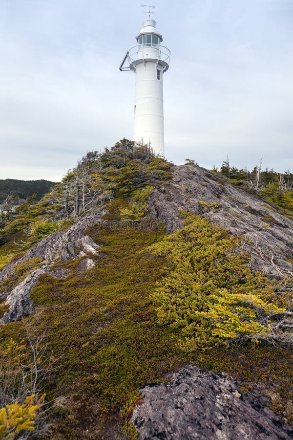 King Cove Head Lighthouse stock image. Image of nature - 127434211
