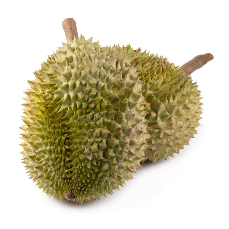 147 Durain Isolated White Background Stock Photos - Free & Royalty-Free ...