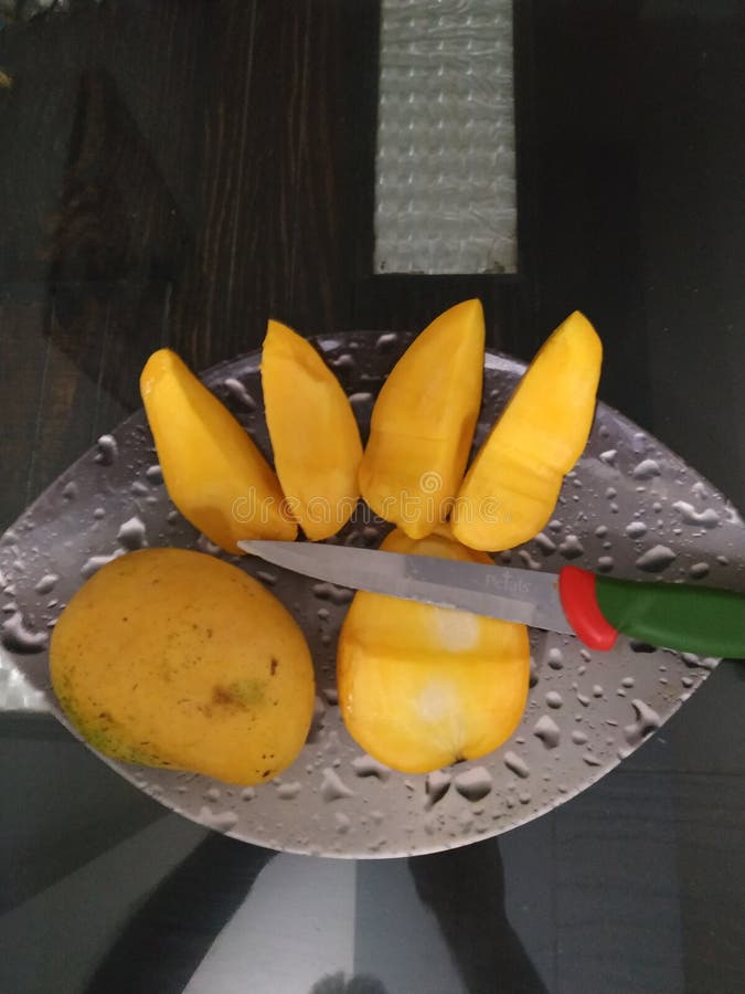 King of the fruits mango stock photo. Image of palatable - 220357724