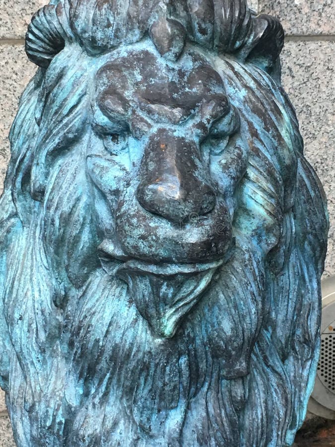 King of the Jungle, the Magnificent Lion Stock Photo - Image of king ...