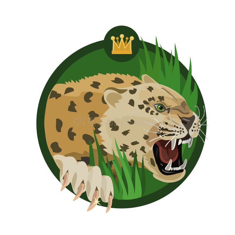 King leopard growls stock vector. Illustration of carnivore - 75399354