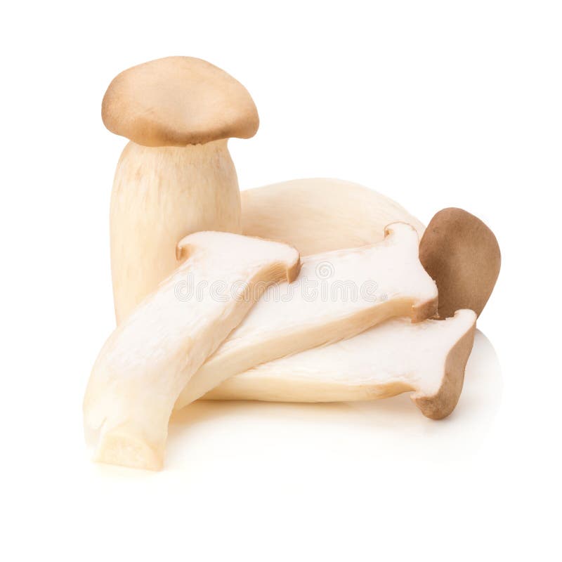King Oyster Mushroom (Eringi) on White Backgroud Stock Image - Image of ...