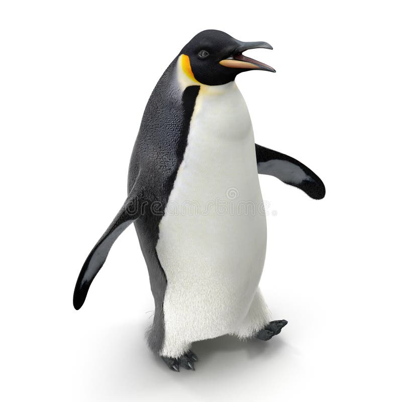 Emperor Penguin. Isolated on White. Front View. 3D Illustration Stock ...