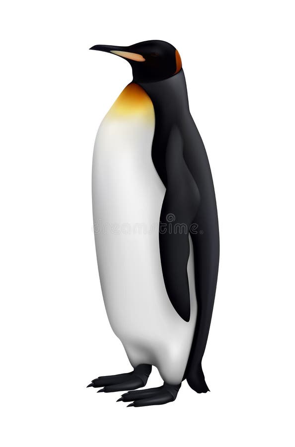 Penguin side view. stock vector. Illustration of antarctic - 202989210