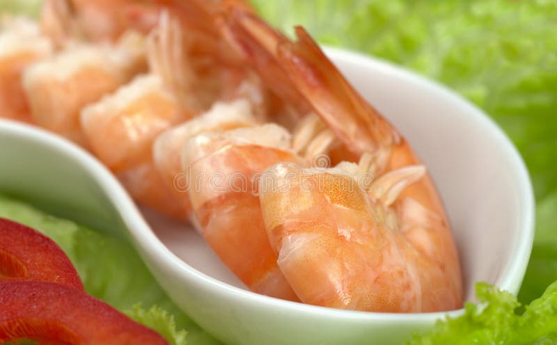 King Prawns stock photo. Image of delicacy, prawn, shrimp - 16563472