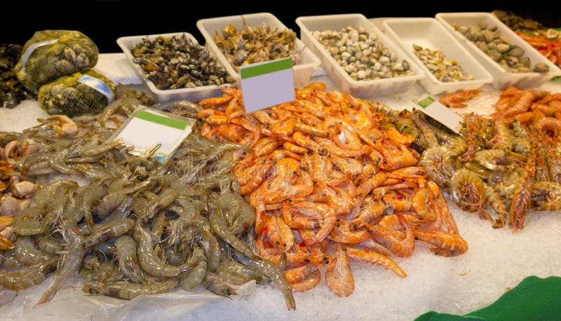 Prawns at the market stock image. Image of nutrition, seafood - 6555753