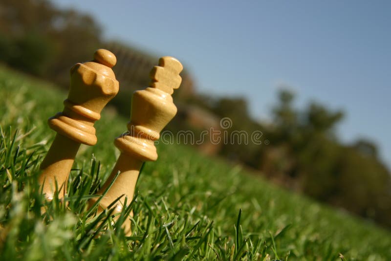 King and Queen Chess Pieces Stock Photo - Image of partnership, green ...