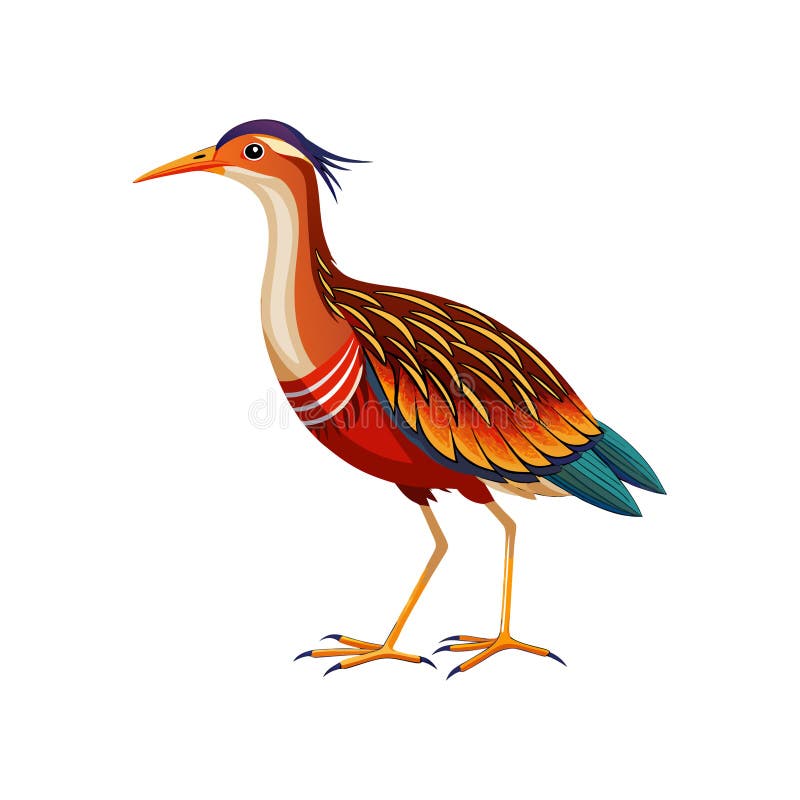 King Rail Bird Realistic Illustration Stock Image - Illustration of ...