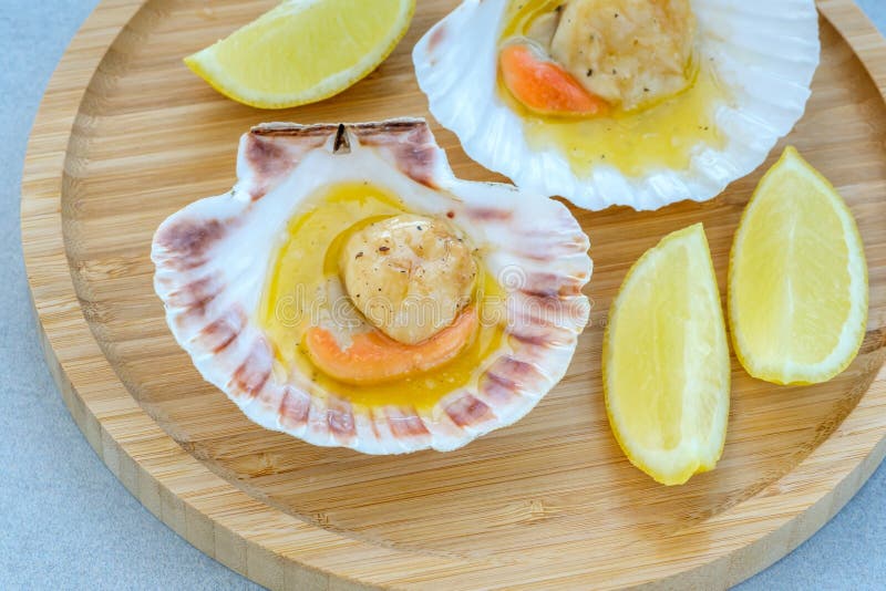 King scallop in shell stock photo. Image of flat, background - 250044522