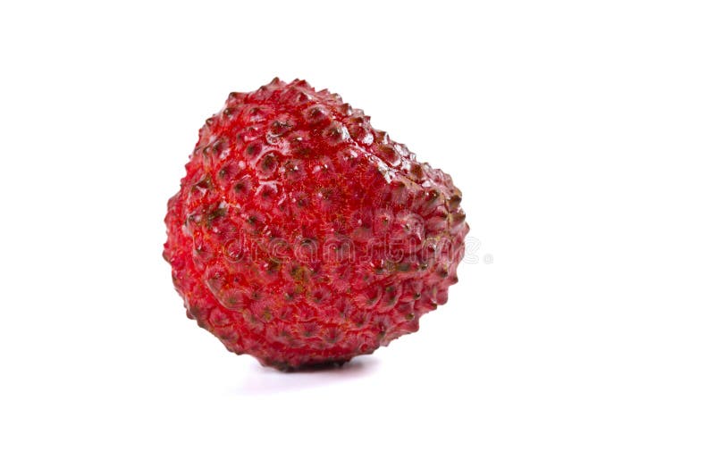 King Size Fresh Lichee on White at Horizontal Composition Stock Photo ...