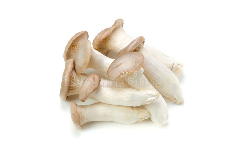 3,827 Trumpet Food Stock Photos - Free & Royalty-Free Stock Photos from ...