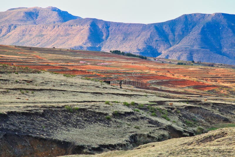 The Kingdom of Lesotho, Home of the Basotho Stock Image - Image of ...