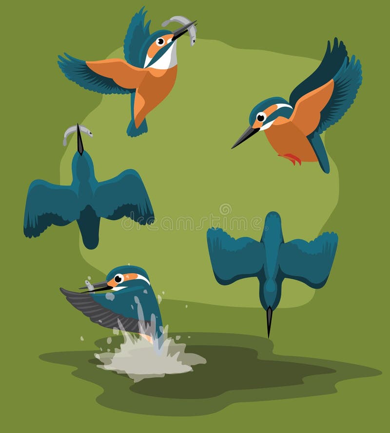 Kingfisher Catch Fiskar Cartoon Vector Animation Sequence Vektor ...