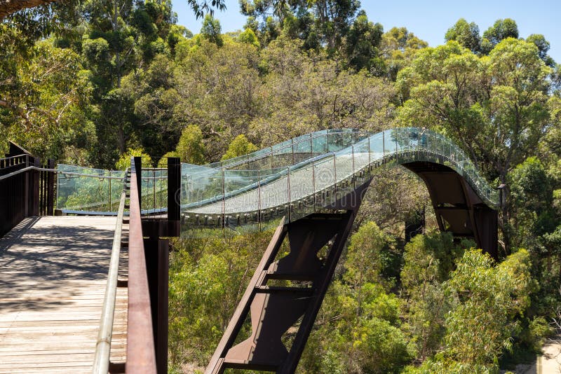 Kings Park stock image. Image of perth, footbridge, gardens - 68100317