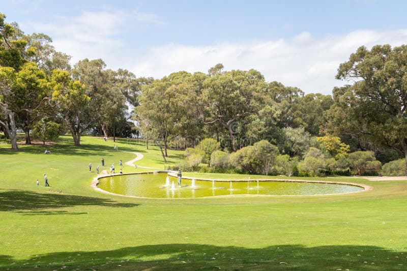 Kings Park in Perth and the Pond Editorial Photography - Image of ...