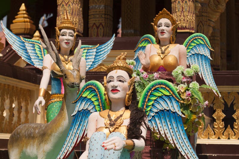 166 Kinaree Stock Photos - Free & Royalty-Free Stock Photos from Dreamstime