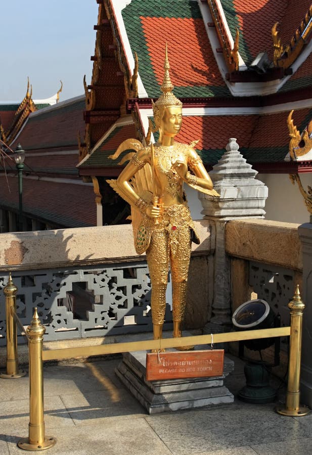 Kinara Stock Photos - Download 36 Royalty Free Photos