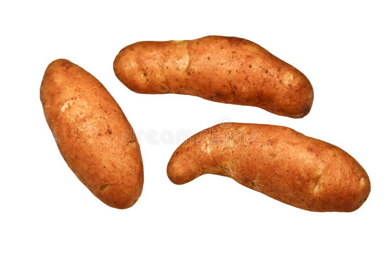 Kipfler Potatoes stock image. Image of vegetable, veggie - 21070951