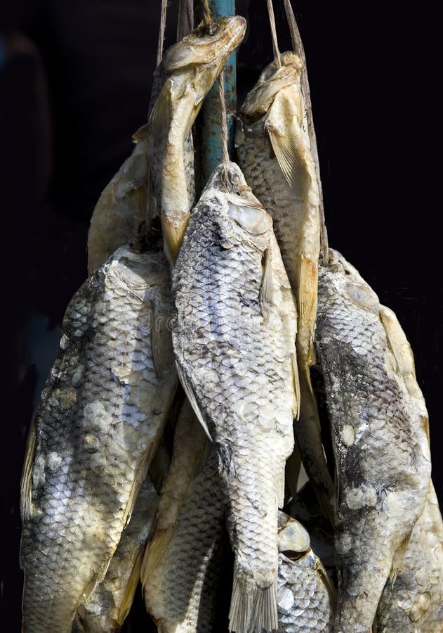 Kipper stock photo. Image of fish, squama, delicacy, kipper - 1428110