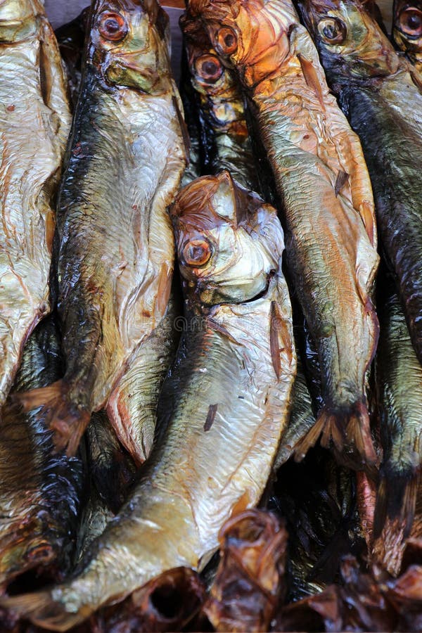 Kippers stock image. Image of herring, dried, alimentation - 39493135