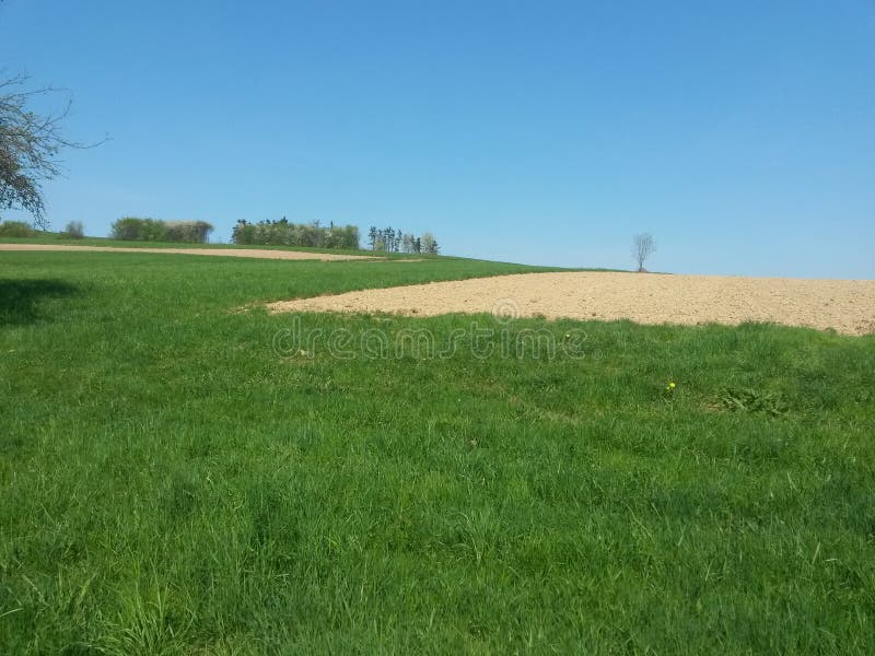 Walkway through the Fields during Spring Stock Image - Image of fields ...