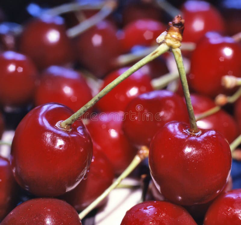 Kirsche stockfoto. Bild von frucht, landwirtschaft, diät - 17079684