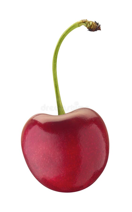 Kirsche stockbild. Bild von saatgut, nahrung, organisch - 1775045
