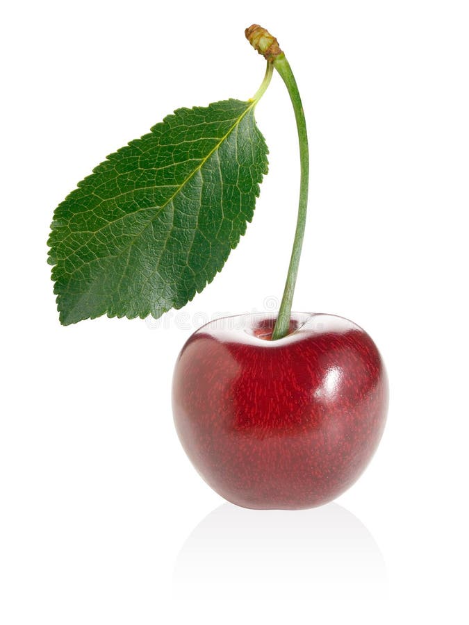 Kirsche. stockfoto. Bild von erzeugnis, nachtisch, saftig - 9863994