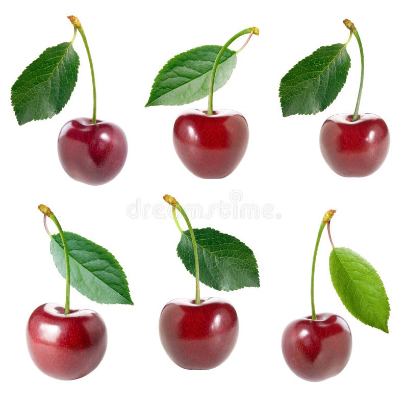 Kirsche. stockfoto. Bild von rüber, nachtisch, getrennt - 9965722