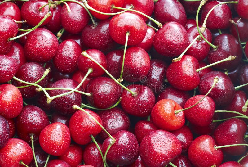 Kirschen stockbild. Bild von kirschen, beschaffenheit - 19919201