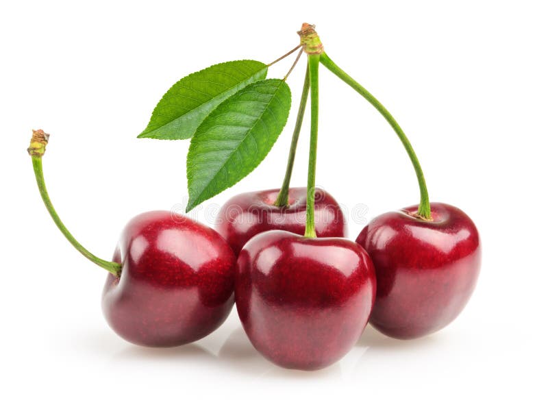 Kirschen getrennt stockfoto. Bild von frische, nave, nachtisch - 46962190
