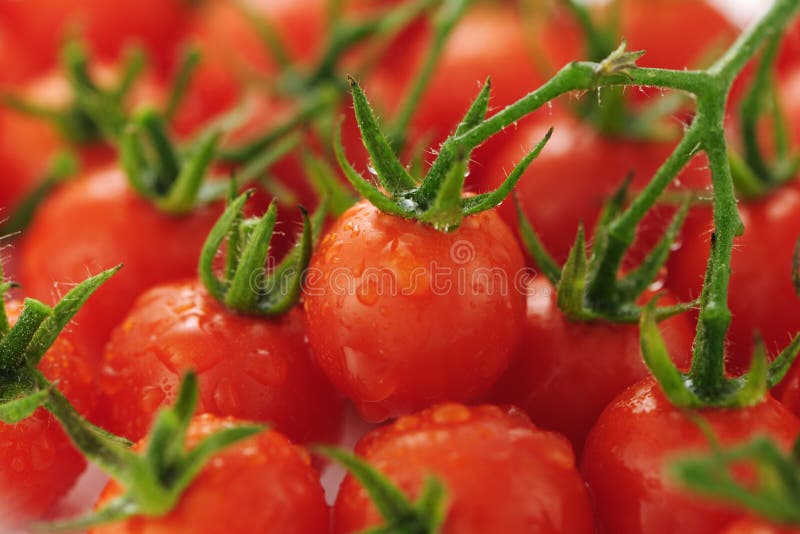 Gruppe Der Roten Kirschtomate Stockfoto - Bild von riped, konzept: 19078886