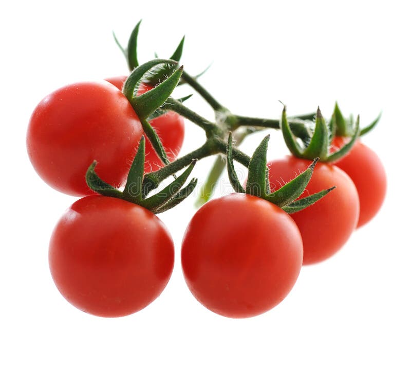 Kirschtomate stockfoto. Bild von getrennt, diät, frisch - 24173962