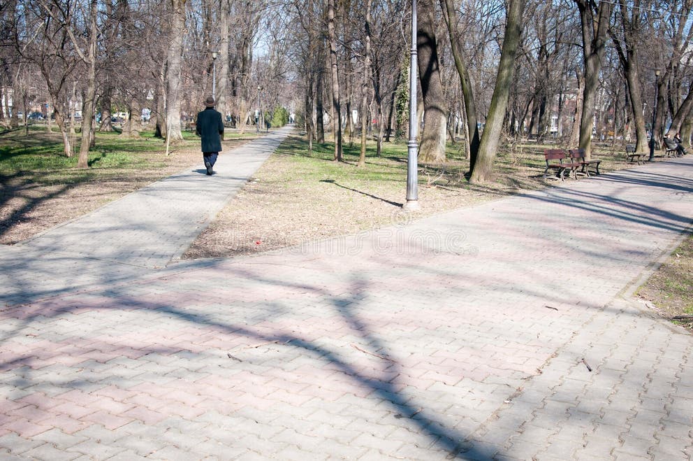 Kiseleff park paths editorial stock image. Image of plant - 52123614