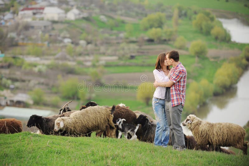 Loving Couple Sheep Stock Photos - Free & Royalty-Free Stock Photos ...