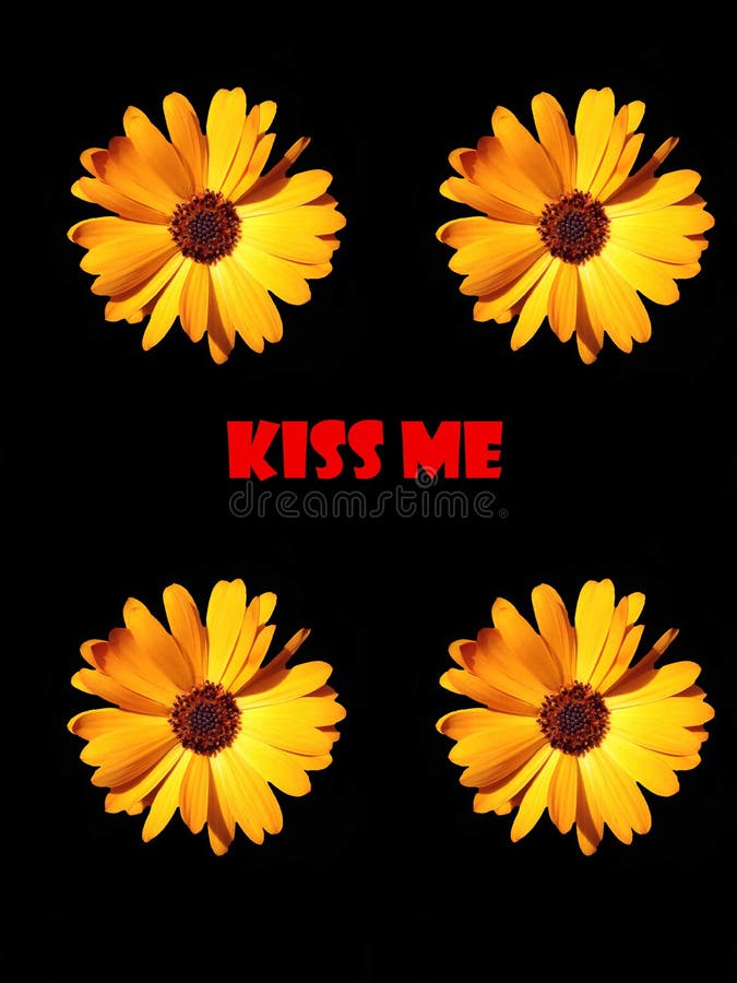 Kiss Me stock illustration. Illustration of flower, black - 84809689