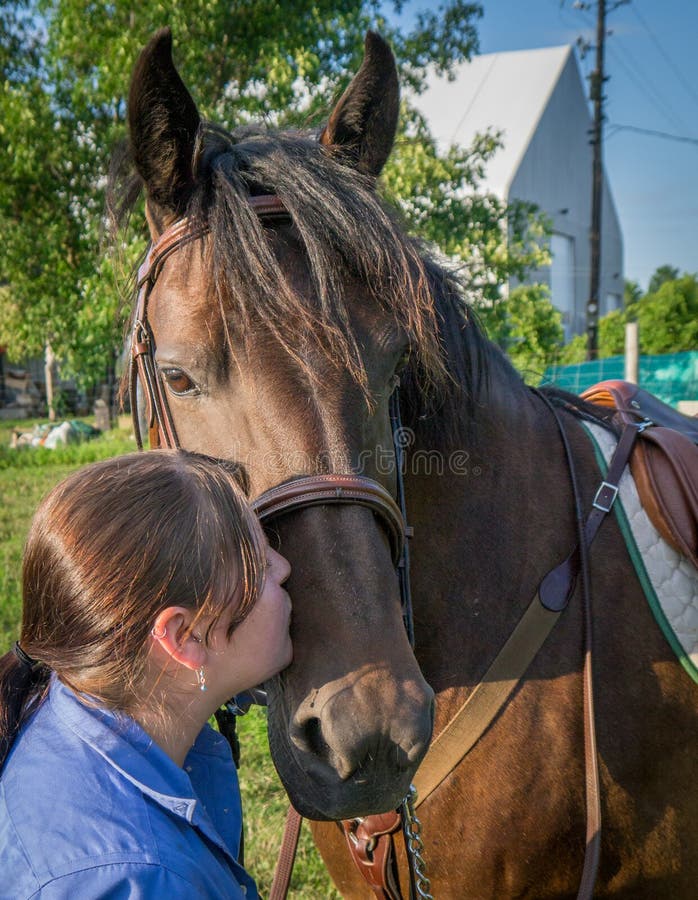 Kiss my horse stock photo. Image of mare, like, fondness - 28817440