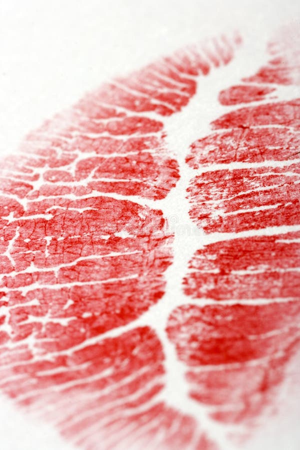 Kiss on paper stock image. Image of care, romantic, loving - 7471981