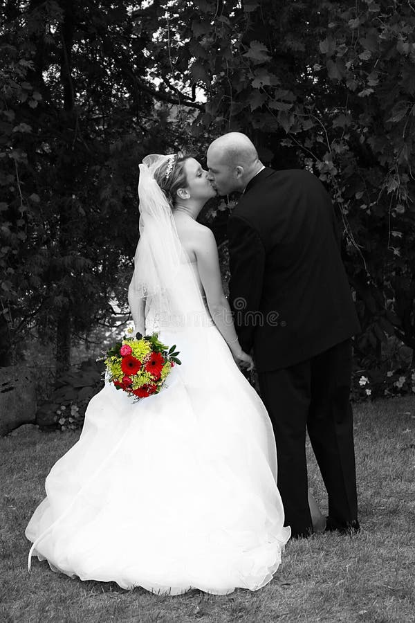 Kissing couple stock photo. Image of occasion, woman, love - 3073840