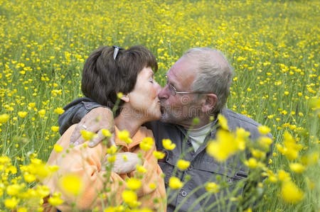 Kissing in the Field stock photo. Image of grey, agriculture - 3839340
