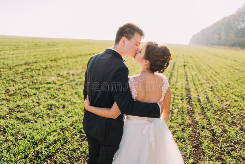 The Kissing Newlyweds in the Green Field. the Back View. Stock Photo ...