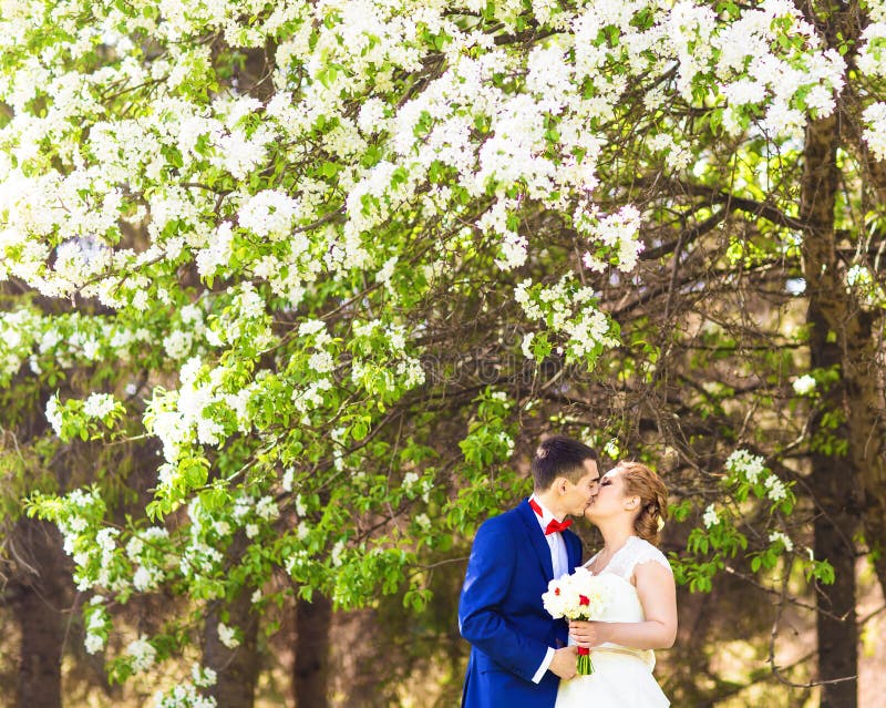 Kissing Wedding Couple in Spring Nature Stock Image - Image of ...