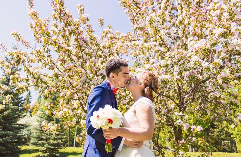 Kissing Wedding Couple in Spring Nature Stock Photo - Image of blond ...