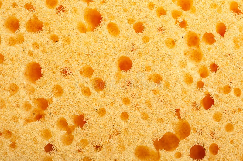 Kitchen Bath Cleaning Sponge Macro Stock Photo - Image of circle ...