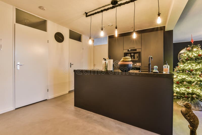 A Kitchen with a Christmas Tree and a Counter Editorial Photography ...