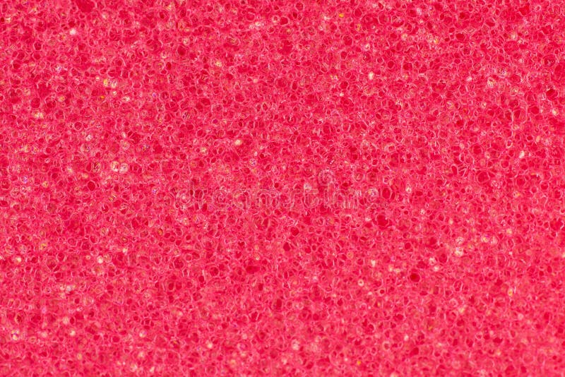 Kitchen Cleaning Sponge Isolated Stock Photo - Image of abrasive, fiber ...